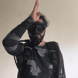 Wildlife scuba diving hand signals