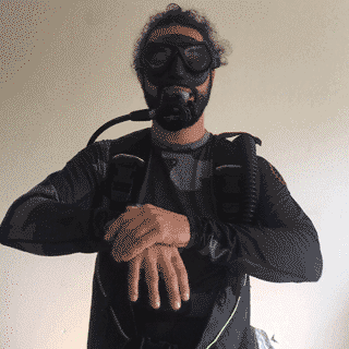 Wildlife scuba diving hand signals