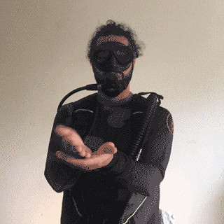 Wildlife scuba diving hand signals